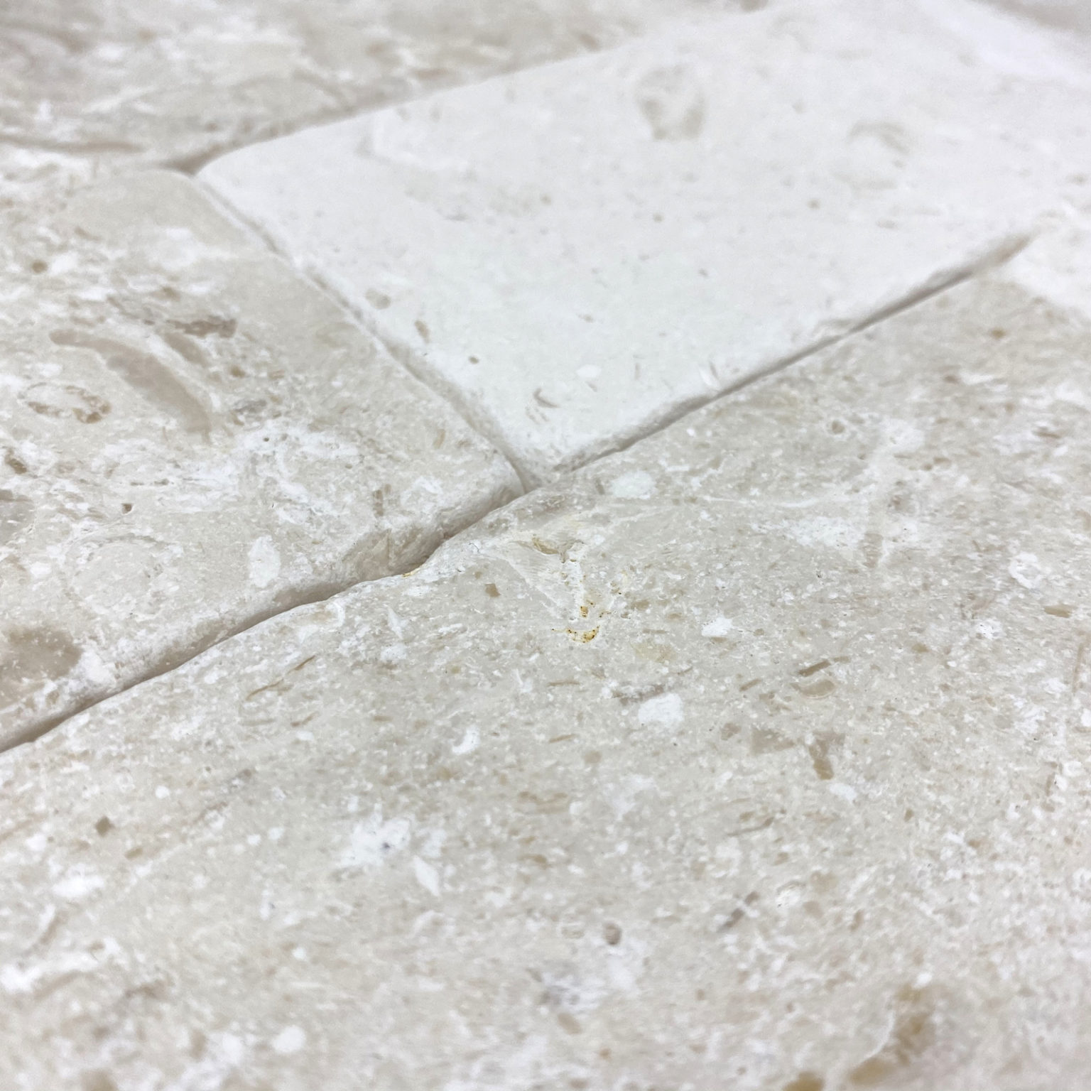 Fossil Stone 3x6 Tumbled Tile - Patara Stone