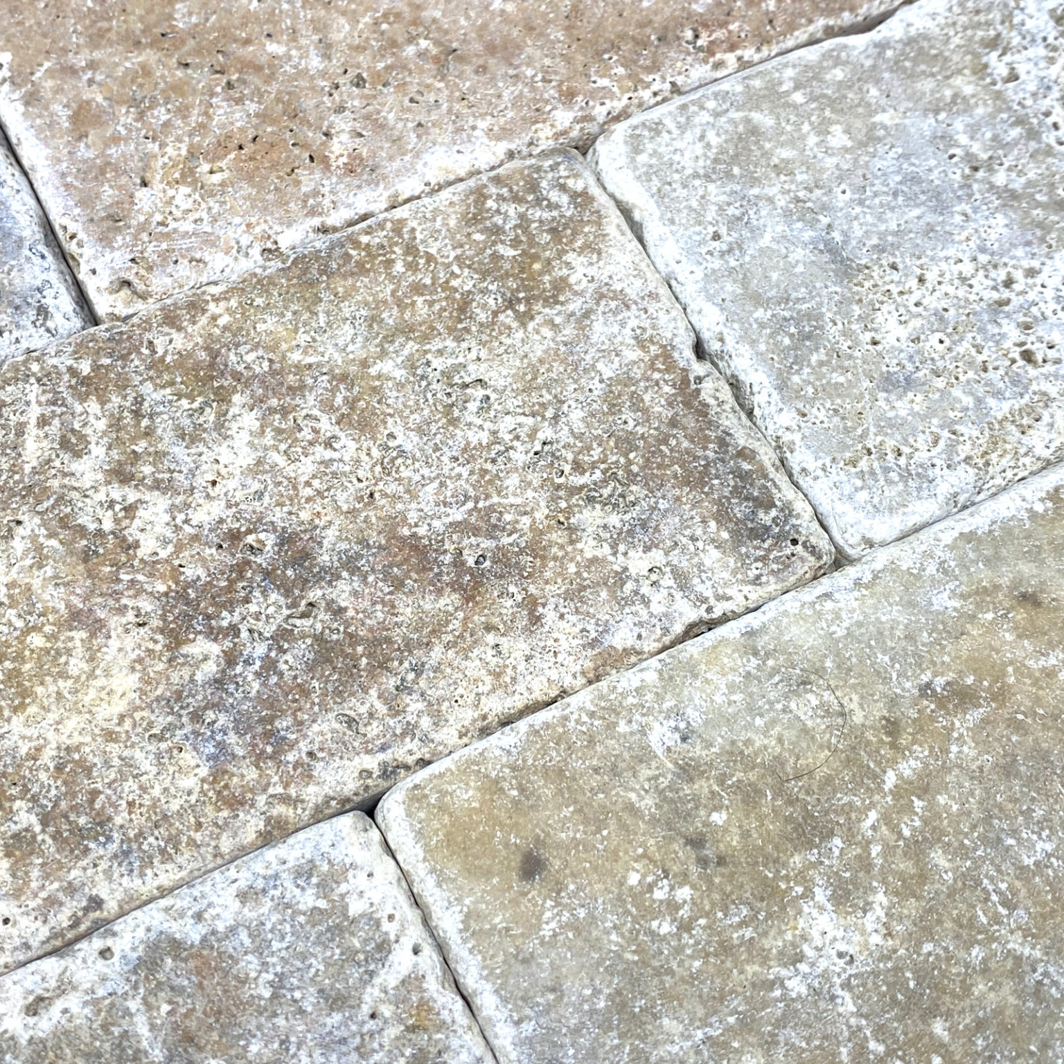 Scabos 3x6 Tumbled - Patara Stone