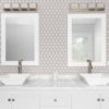 2 inch Hexagon Snow Matte - Patara Stone