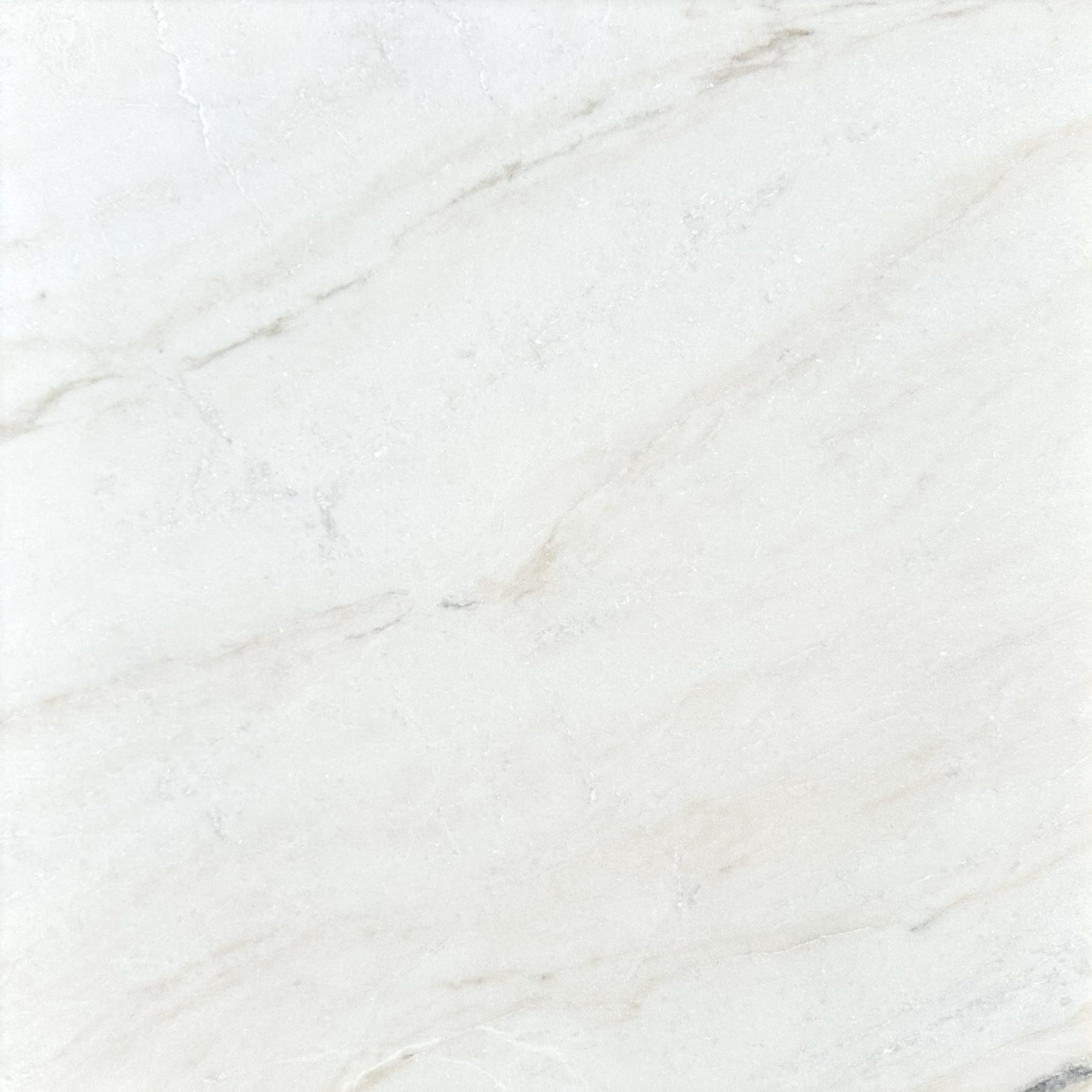 Kalta Umber 24x24 Honed - Patara Stone